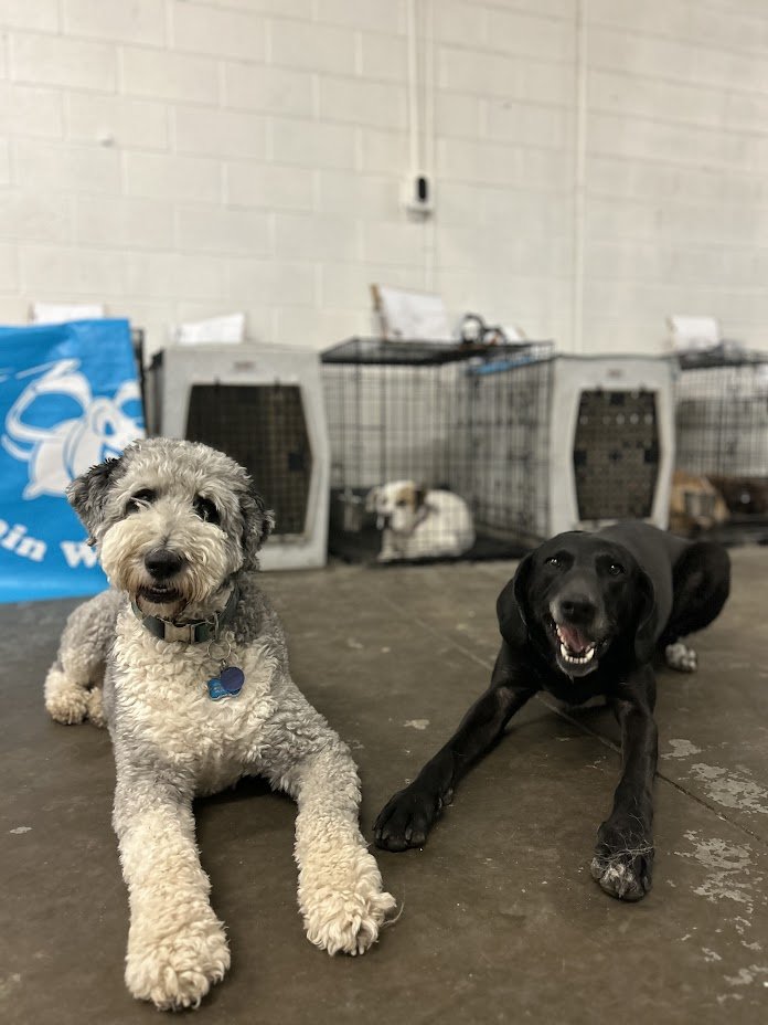 Unleashing Success Through Strategic Repetition